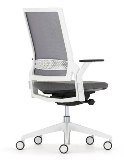 Ecoflex Task Chair - Genesys Office Furniture